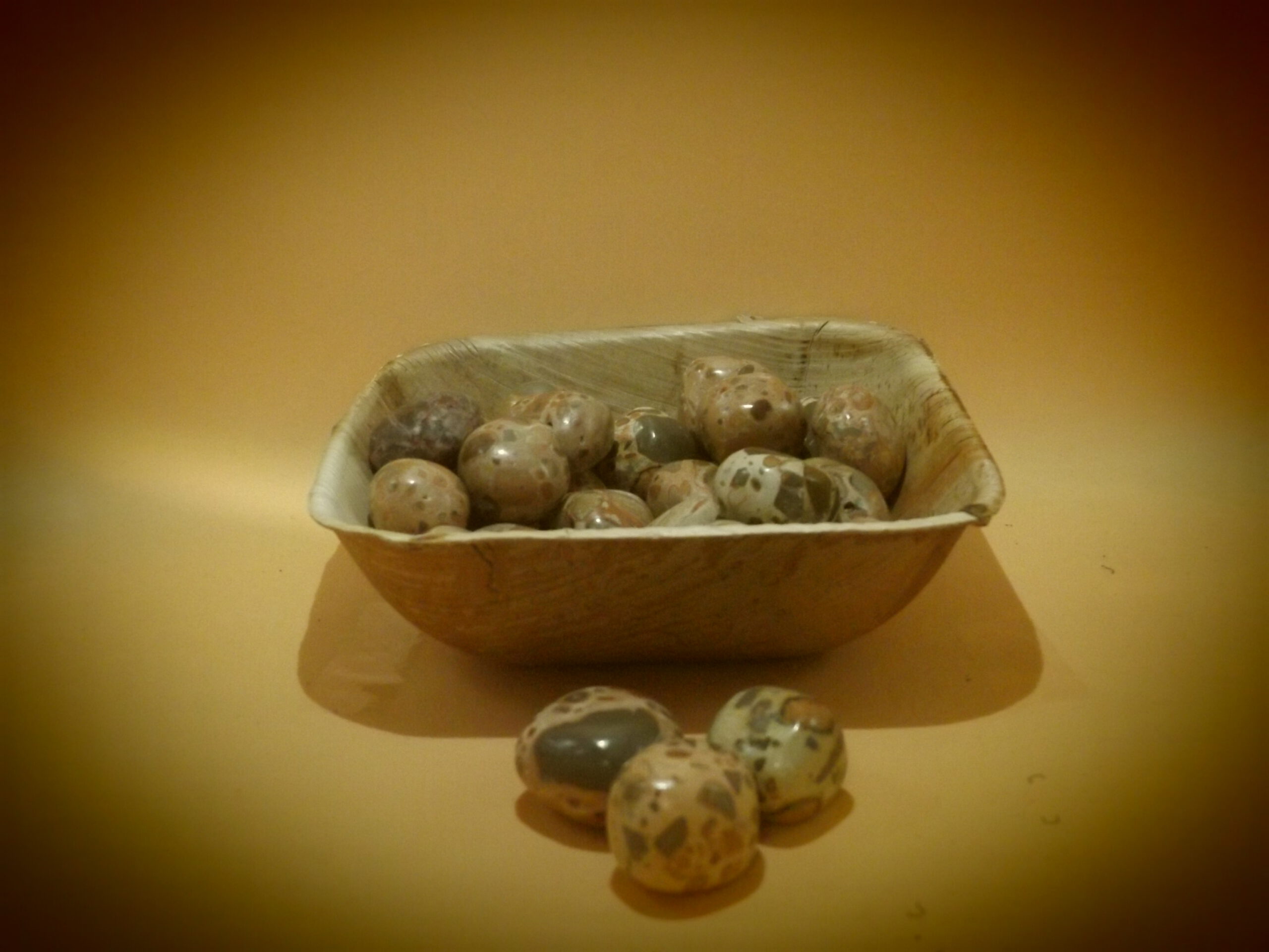 Leopardite – Tumbled | Shadow and Soul Emporium